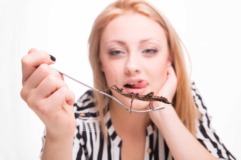 What is Cockroach Milk and Why is it Going Viral? | Go Healthier